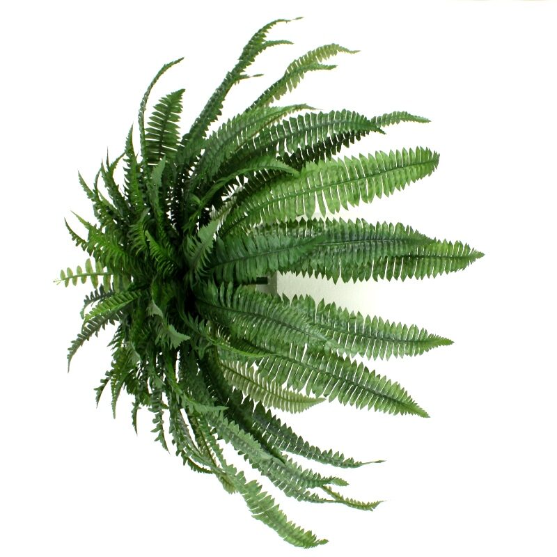 Boston varen Giant D95 boeket kopen? • Verzonden binnen 1-2 dagen